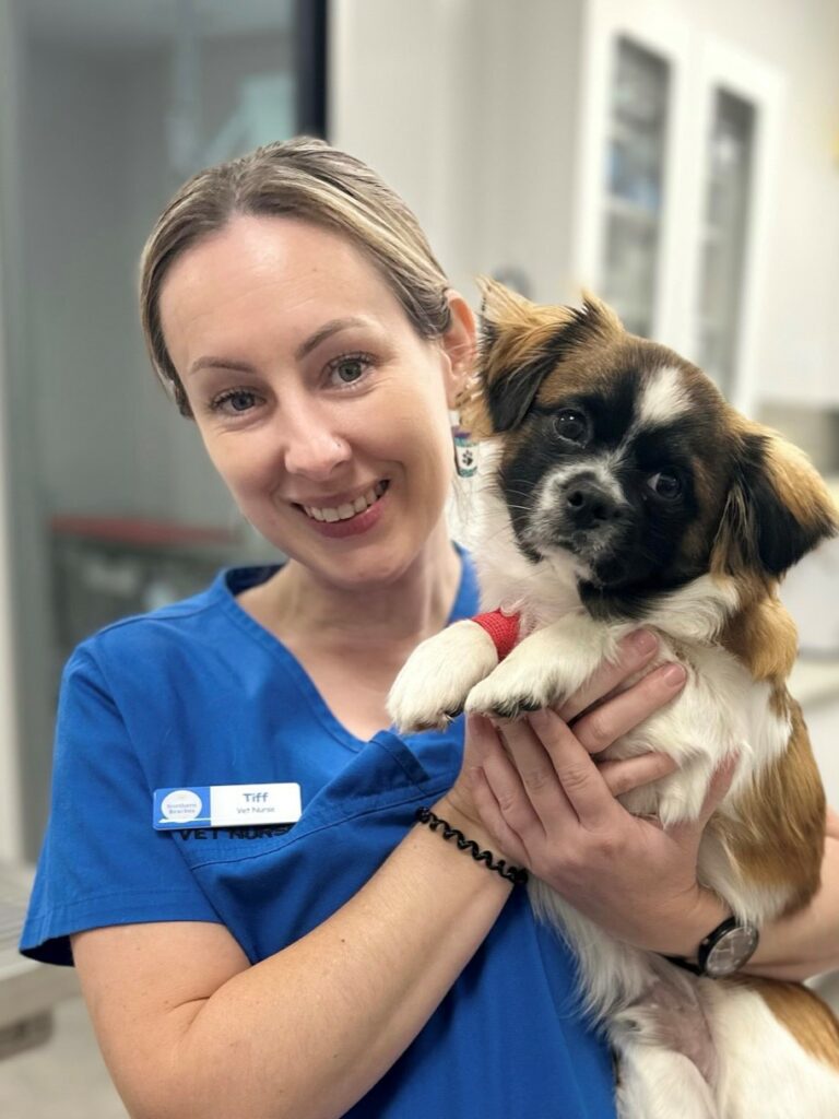 Our Team - Northern Beaches Veterinary Clinic